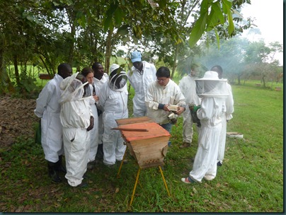 From The Heart Of Uganda: Wild African Bees - Beekeeping Workshop